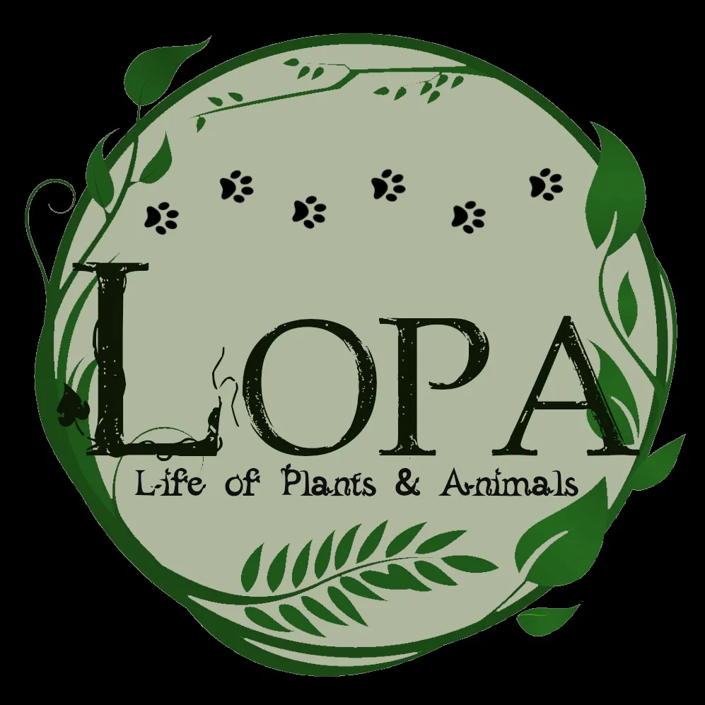 LOPA - Life of Plants and Animals FABRIC - модпак для Майнкрафт - Зона ...
